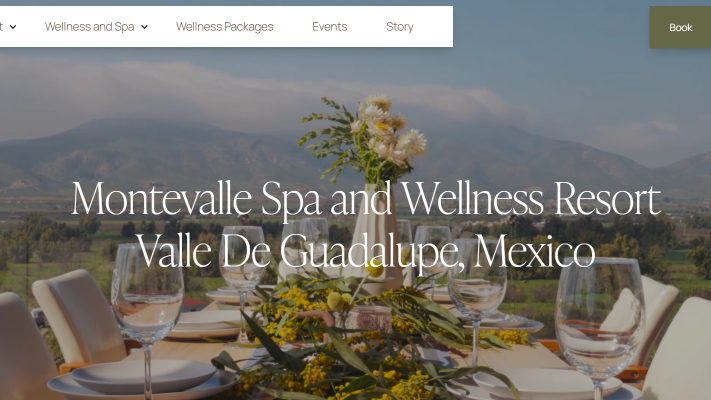 Ronilo Yap Jr | Web developer | Front End